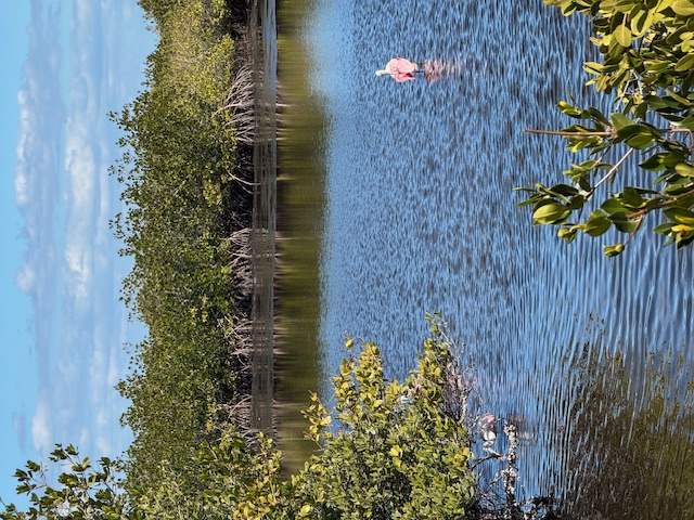 Merritt Island National Wildlife Refuge | East Coast Tour & Shuttle